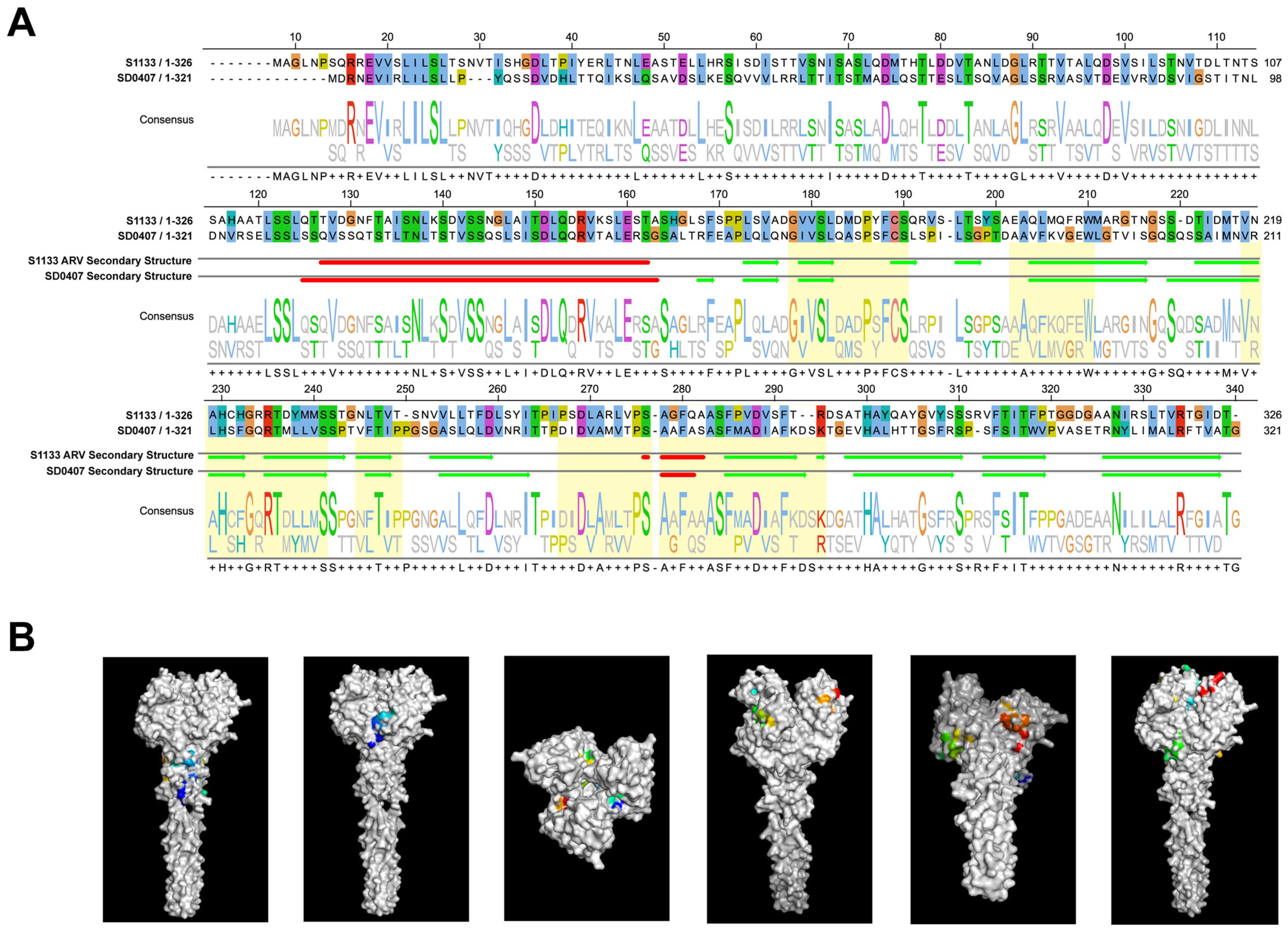 Characterization of a Goose-Origin Avian Orthoreovirus with Interferon ...