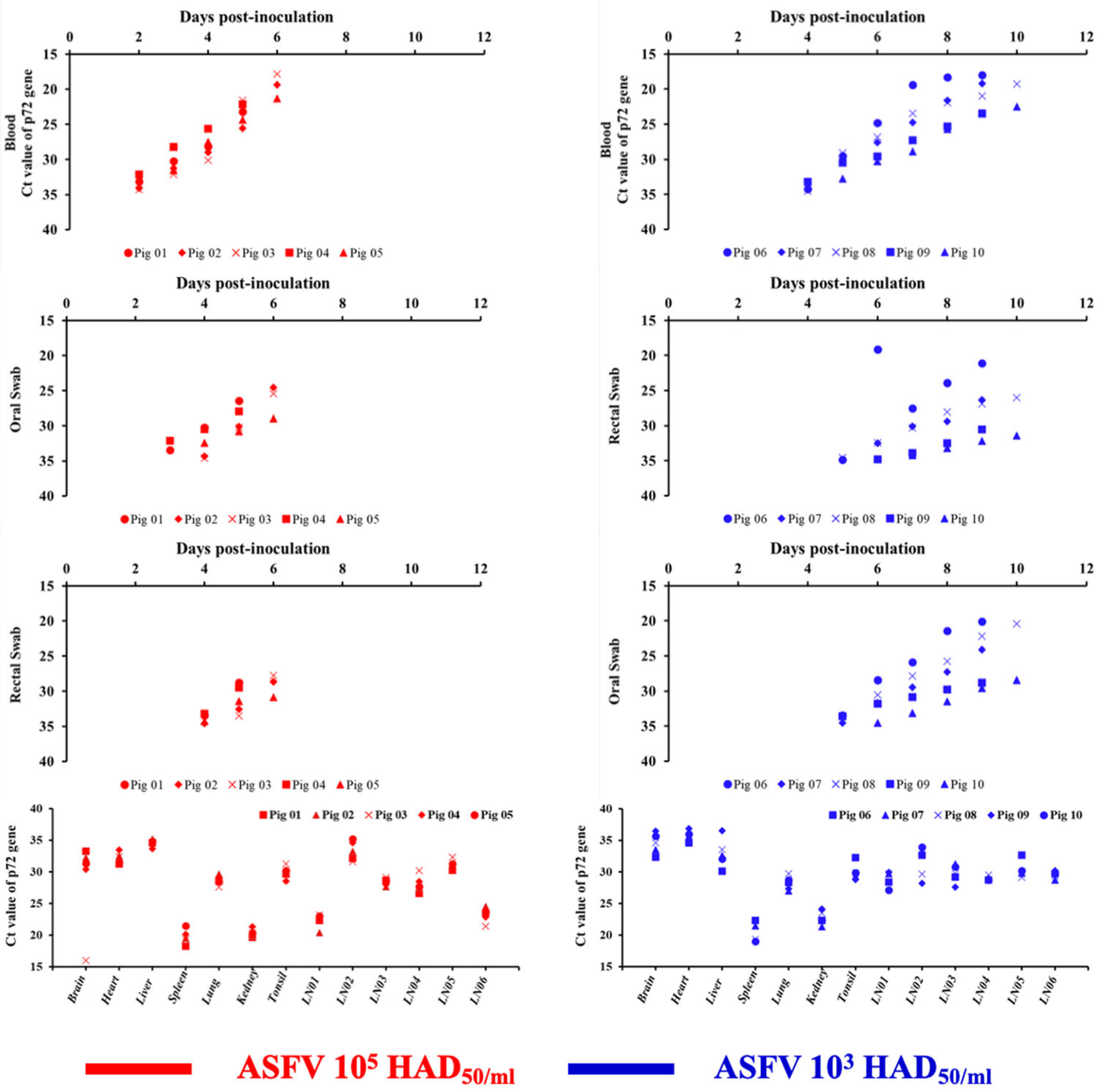 Evaluation of Pathogenetic and Immunological Parameters of the Genotype ...