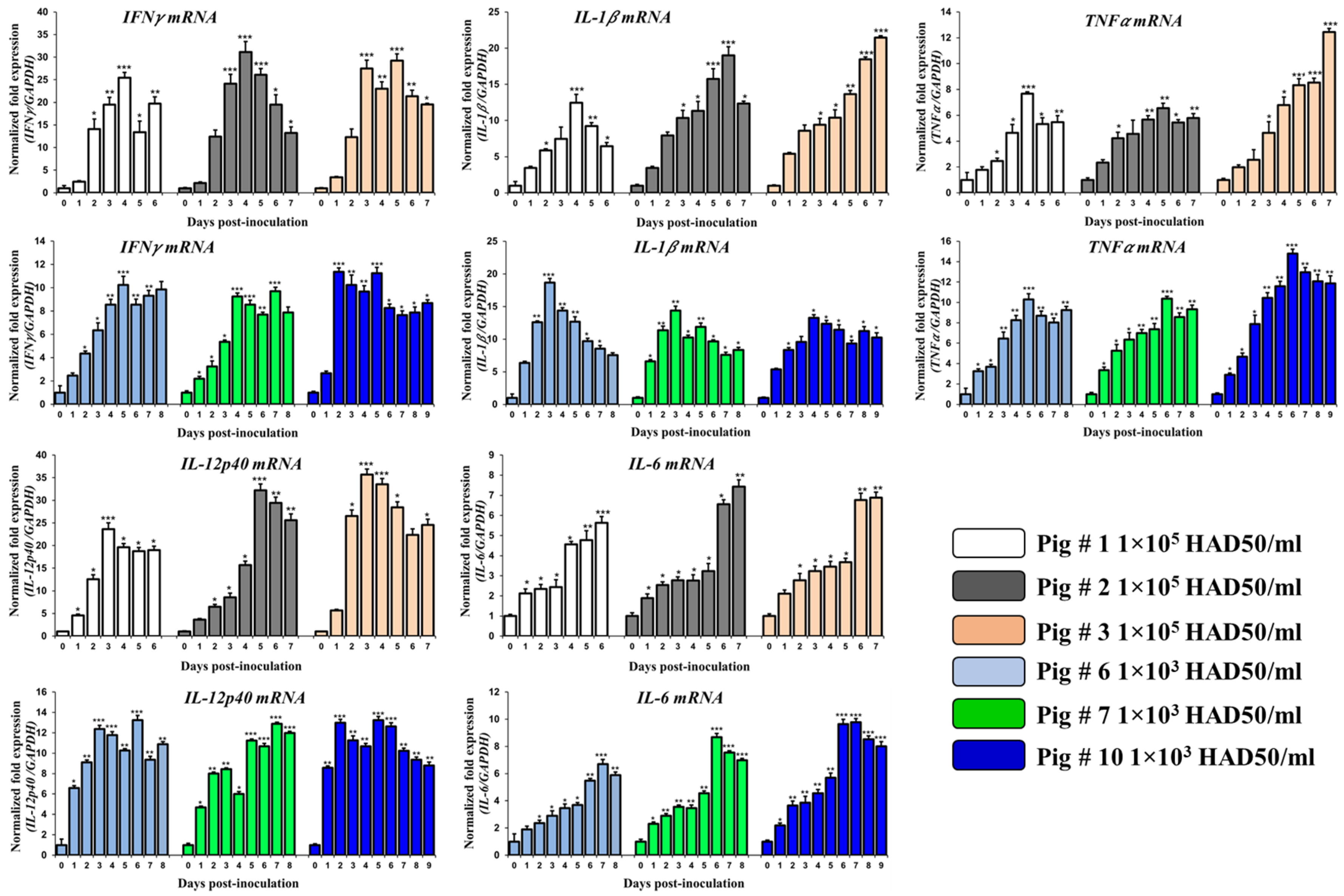 Evaluation of Pathogenetic and Immunological Parameters of the Genotype ...