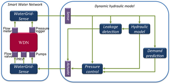 Real-Time Dynamic Hydraulic Model of Water Distribution Networks