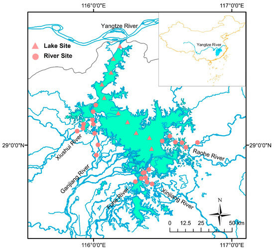 Nutrients Drive the Structures of Bacterial Communities in Sediments ...