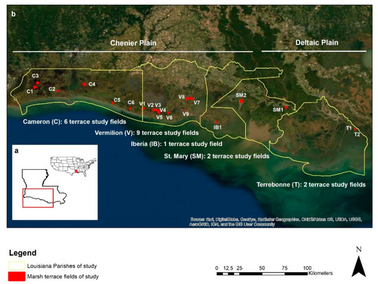 Evaluation of Marsh Terraces for Wetland Restoration: A Remote Sensing ...