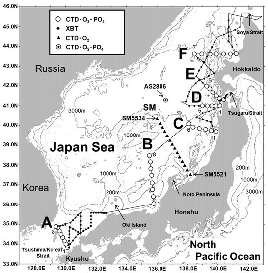 Behavior of Water Mass Beneath the Tsushima Warm Current in the Japan Sea