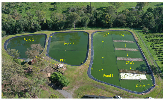 Using Constructed Floating Wetlands to Remove Nutrients from a Waste ...