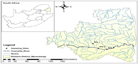 The Effect of Rainfall on Escherichia coli and Chemical Oxygen Demand ...