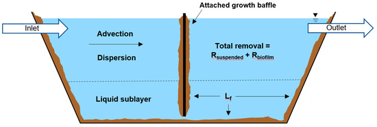 graphical abstract
