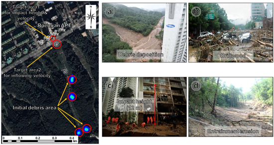 Numerical Simulation of Debris Flow and Driftwood with Entrainment of ...
