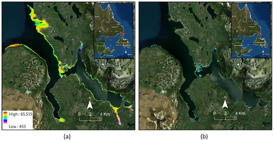 Marine Habitat Mapping Using Bathymetric LiDAR Data: A Case Study from ...