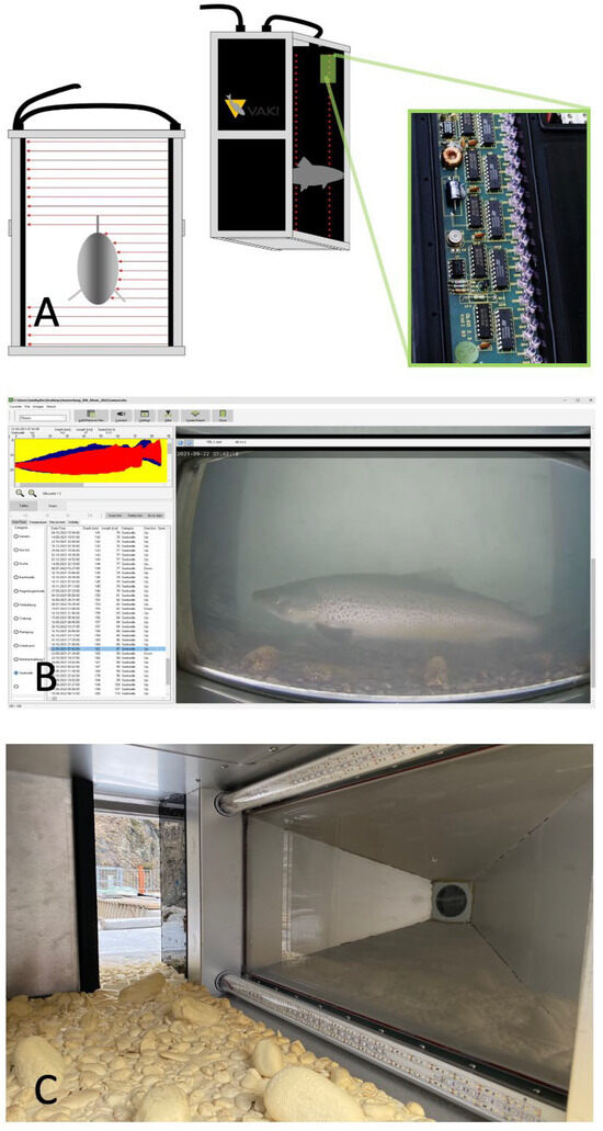 Monitoring of Fish Migration in Fishways and Rivers—The Infrared Fish ...