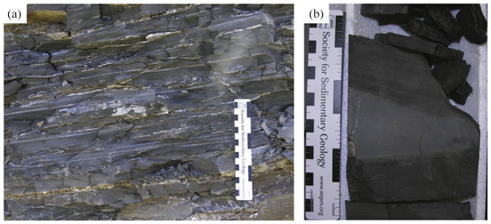 Water Free Full Text Modeling The Hydraulic Fracturing Processes In Shale Formations Using A