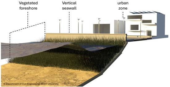 Numerical Modelling of Wave–Vegetation Interaction: Embracing a Cross ...