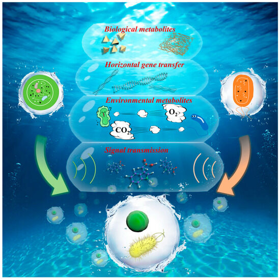 Water | An Open Access Journal from MDPI