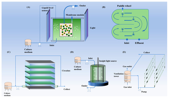 Water | An Open Access Journal from MDPI