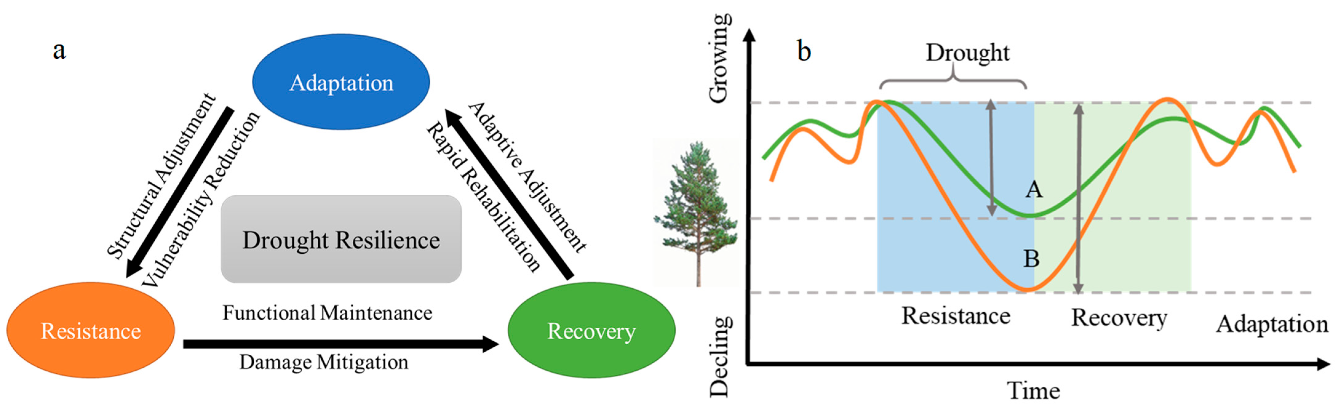 Multi-Scale Drought Resilience in Terrestrial Plants: From Molecular ...