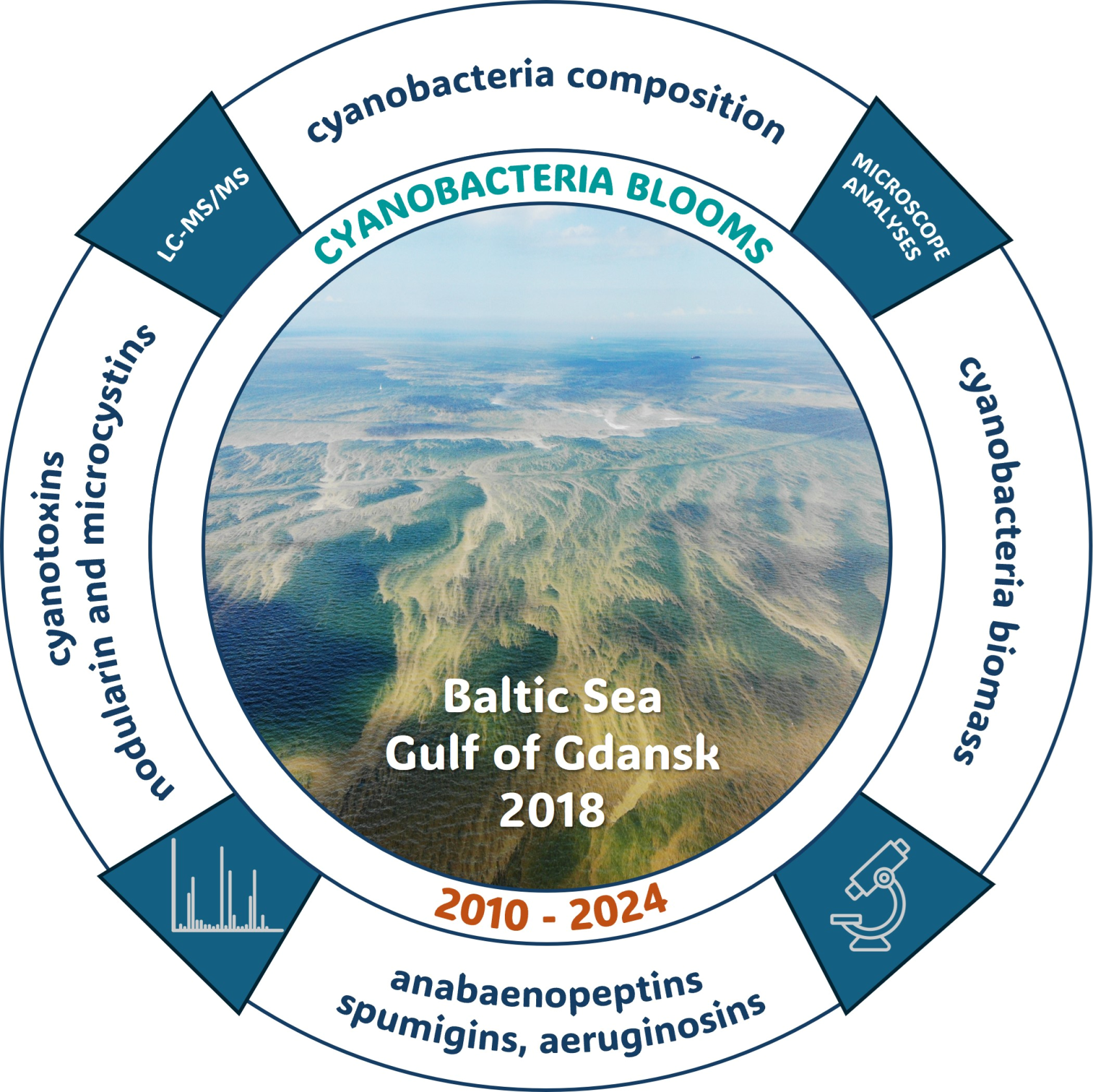 Toxic Potential and Long-Term Dynamics of Cyanobacterial Blooms in the ...