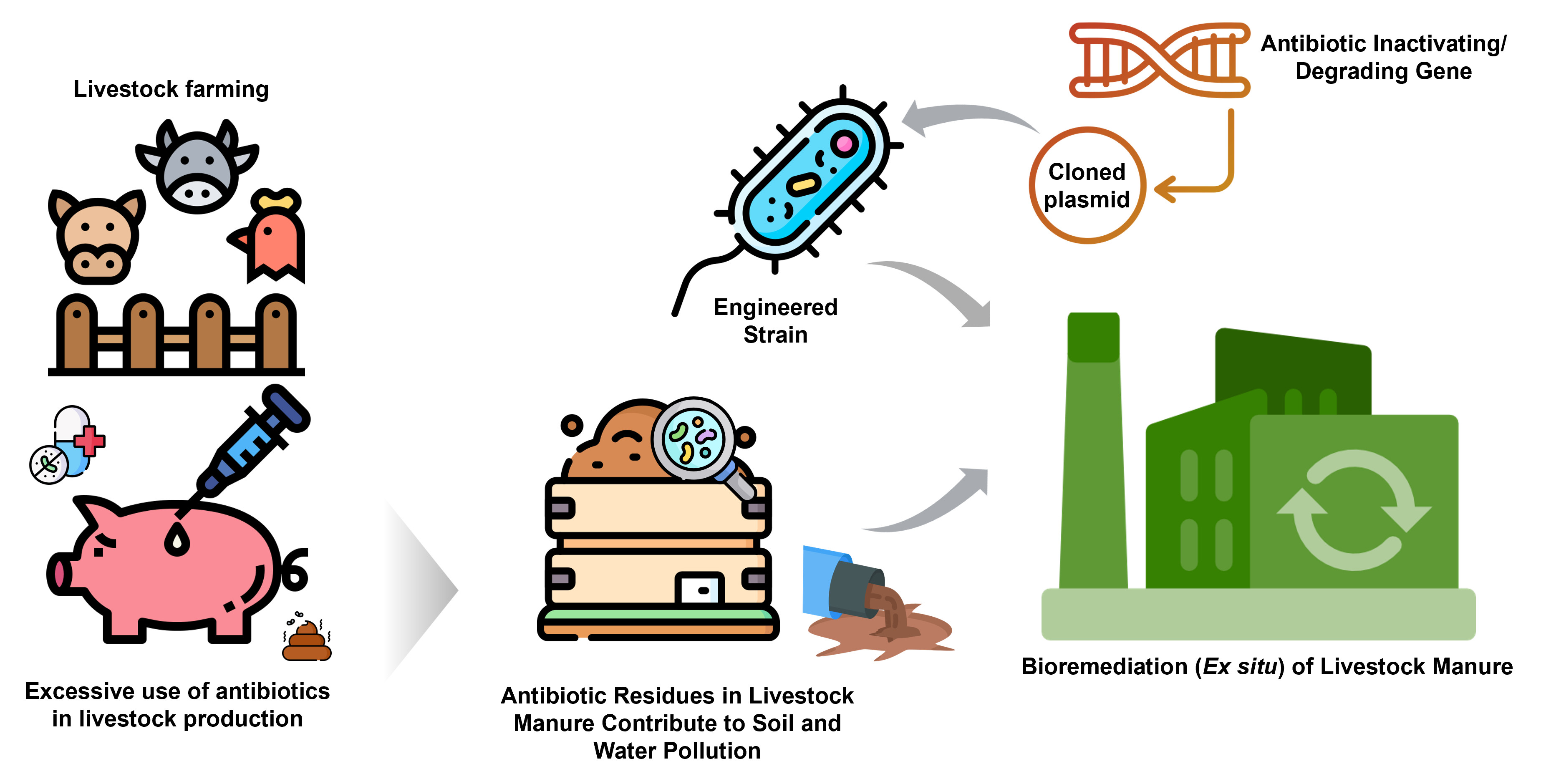 Emerging Microbial and Enzymatic Approaches for Sustainable Antibiotic ...