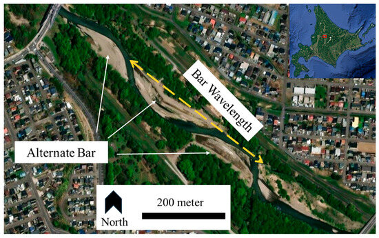 Different Alternate Bar Dynamics Under Different Channel Width and Flow ...
