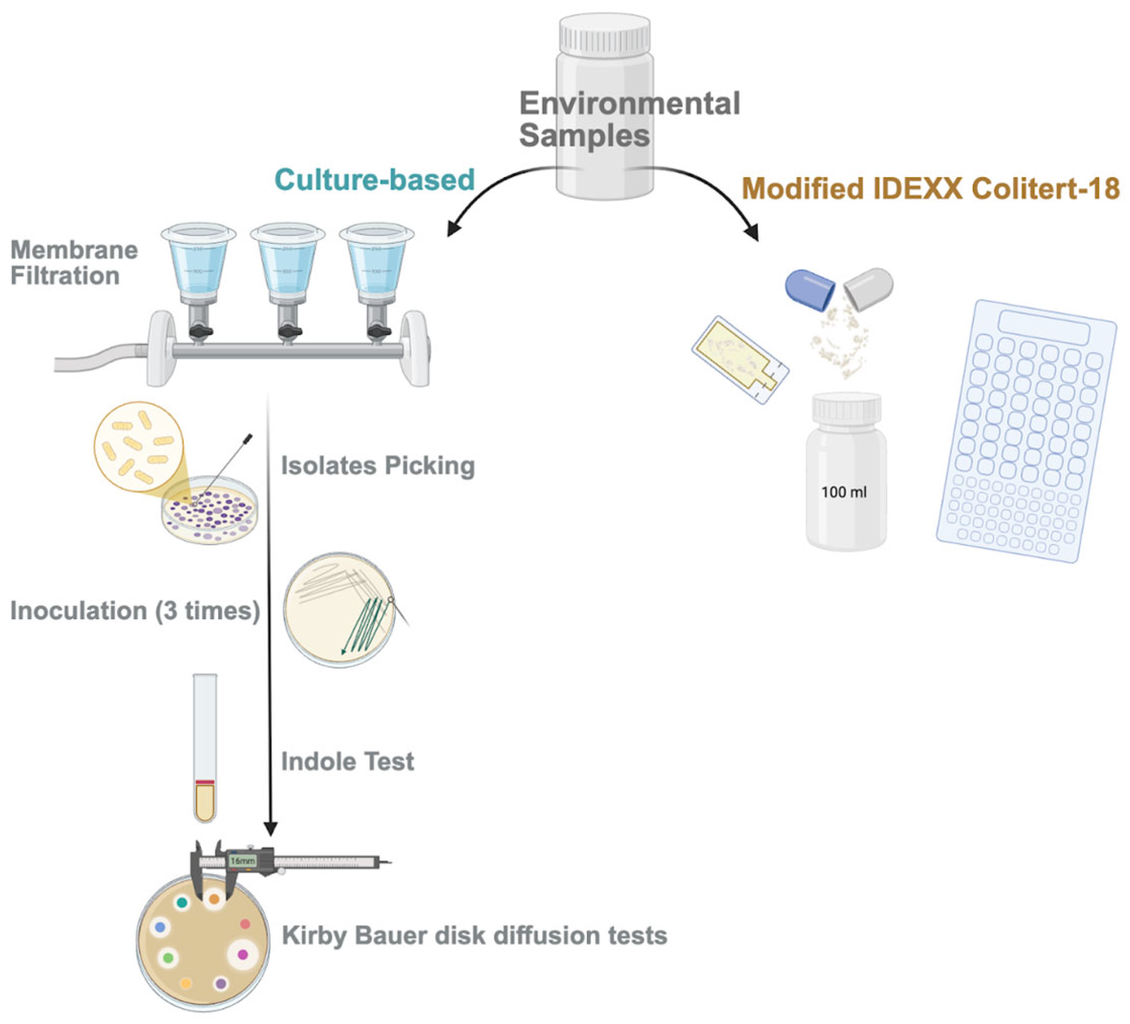 Elevated Antibiotic Resistance in Escherichia coli from Surface Waters ...