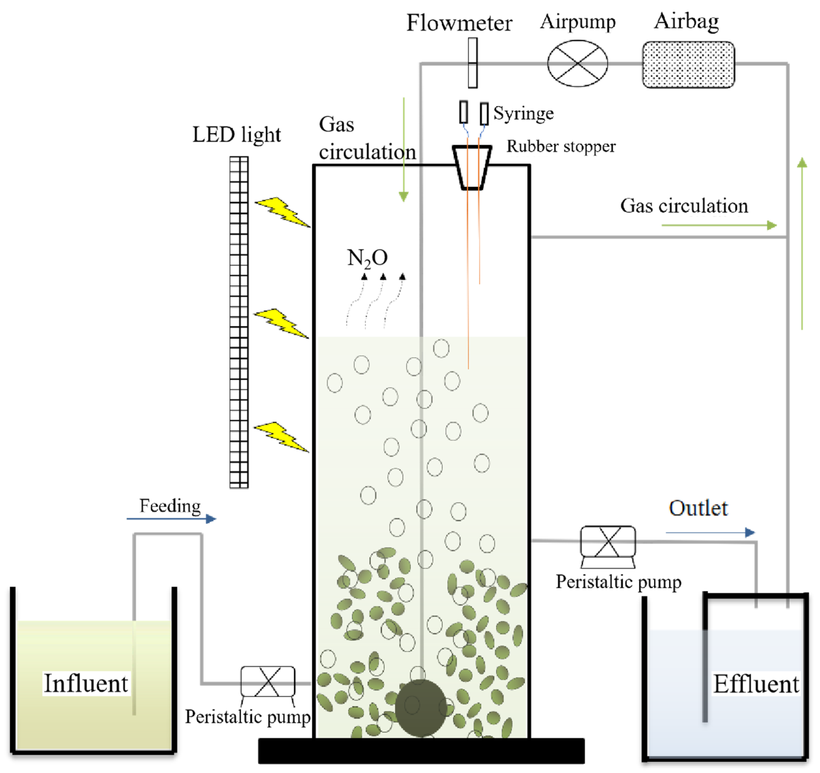 Microalgae-Driven Algal–Bacterial Granular Sludge with Chlamydomonas ...