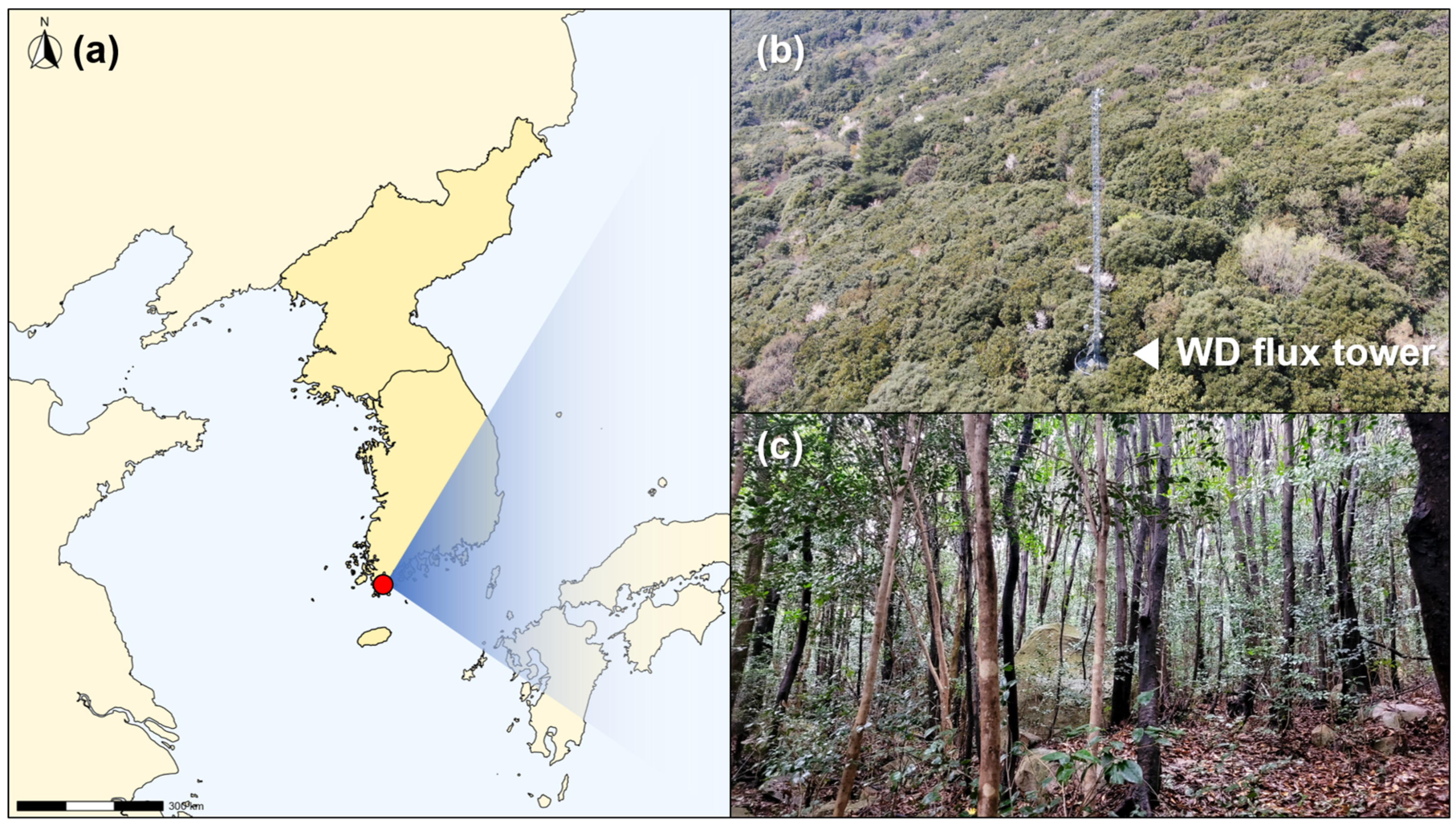 Ecosystem Water-Use Efficiency in a Warm-Temperate Evergreen Broad ...