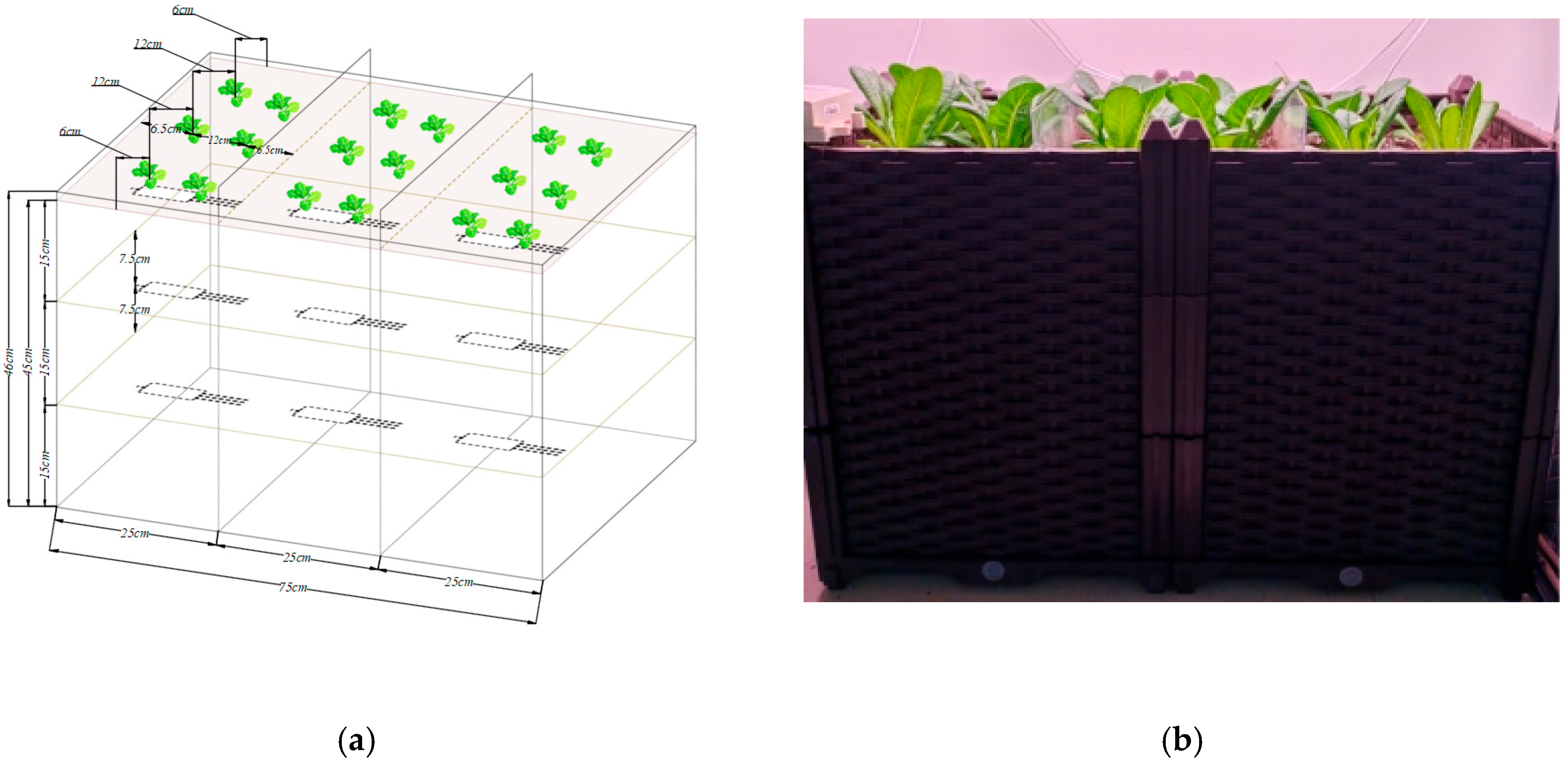 Effects of Brackish Water Irrigation on Salt Transport in Saline-Alkali ...