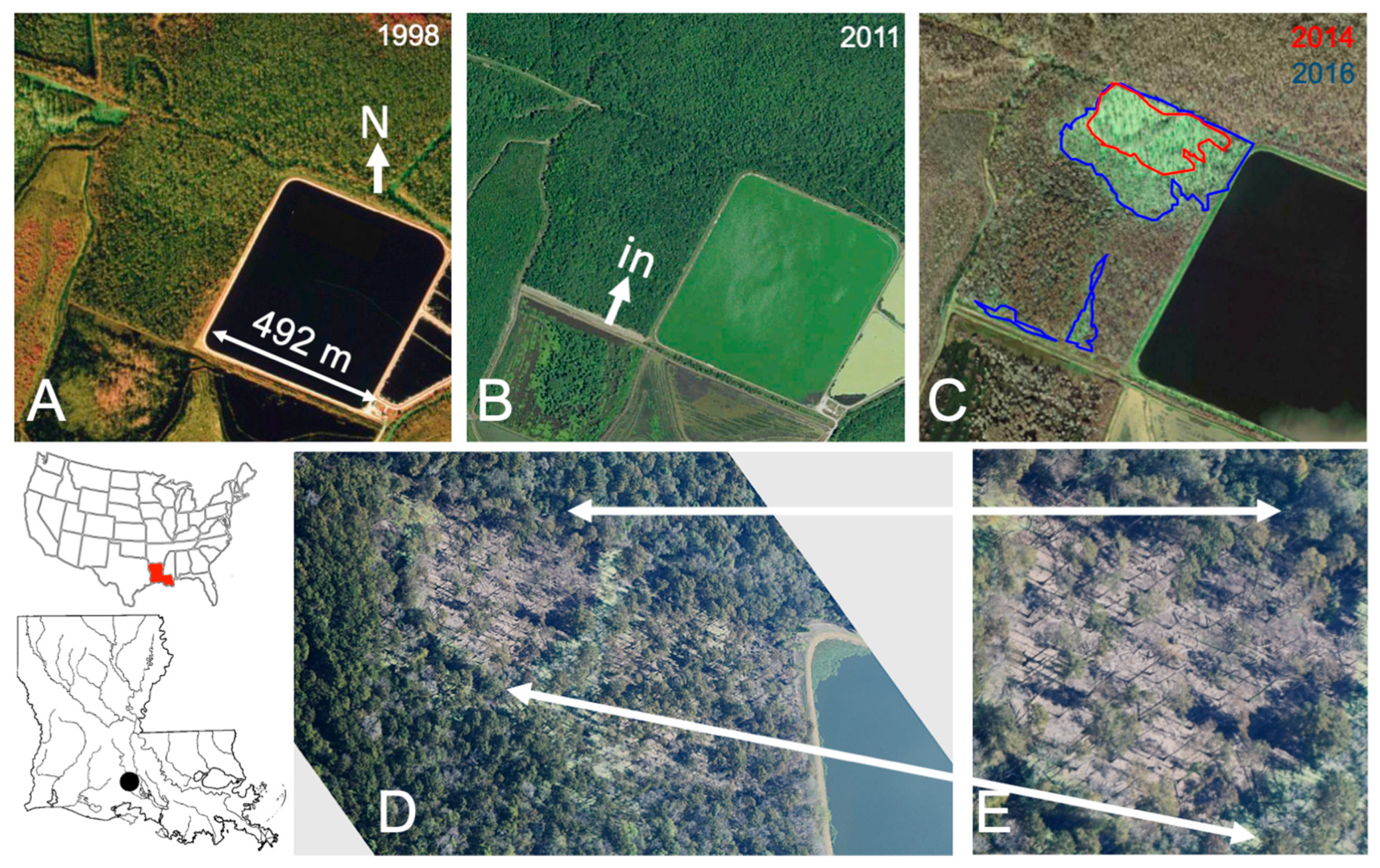 Wetland Landscape Response to Partially Treated Sewage in Unconstrained ...