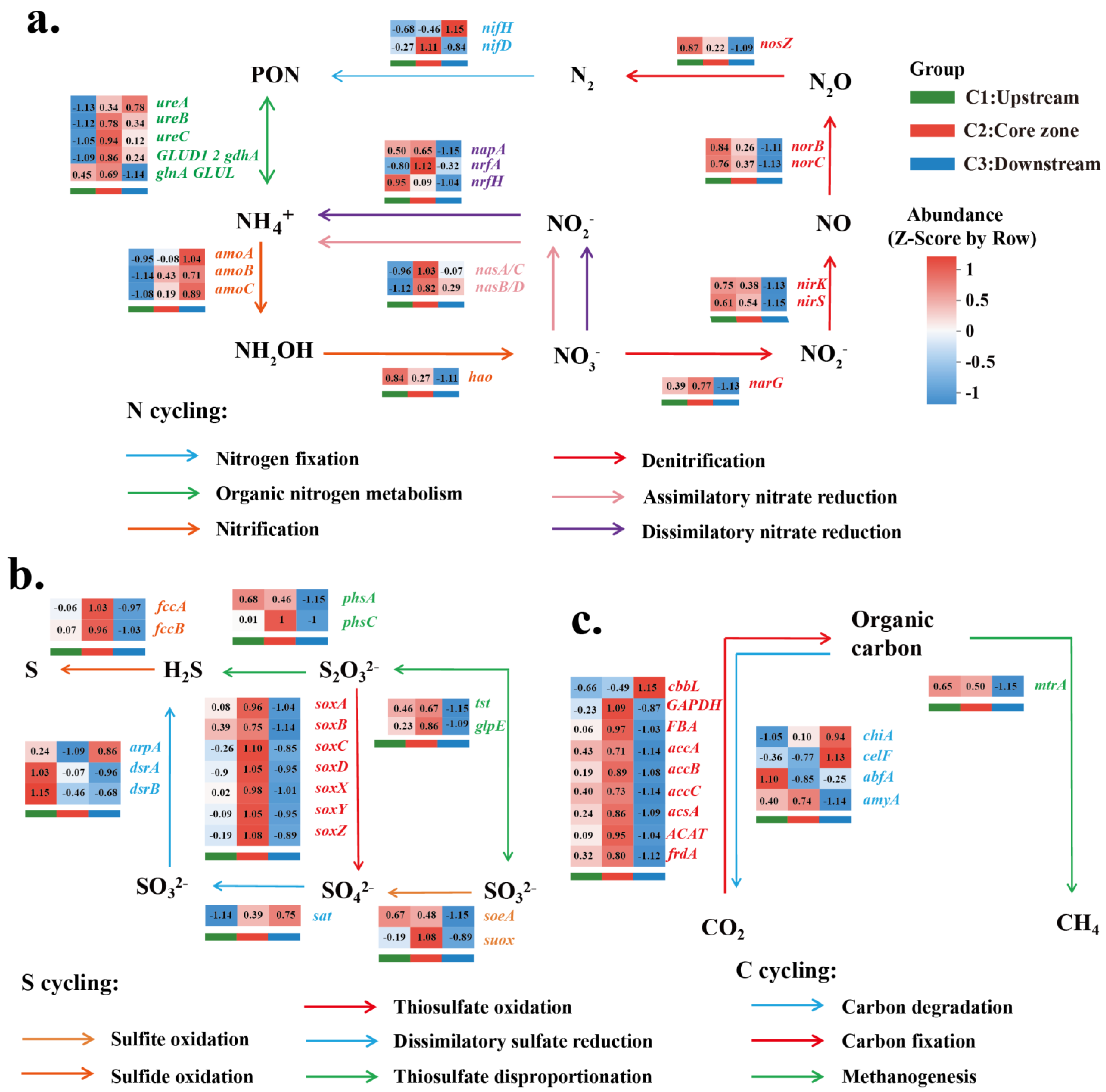 Responses of Microbial Community Structure and Carbon, Nitrogen, and ...