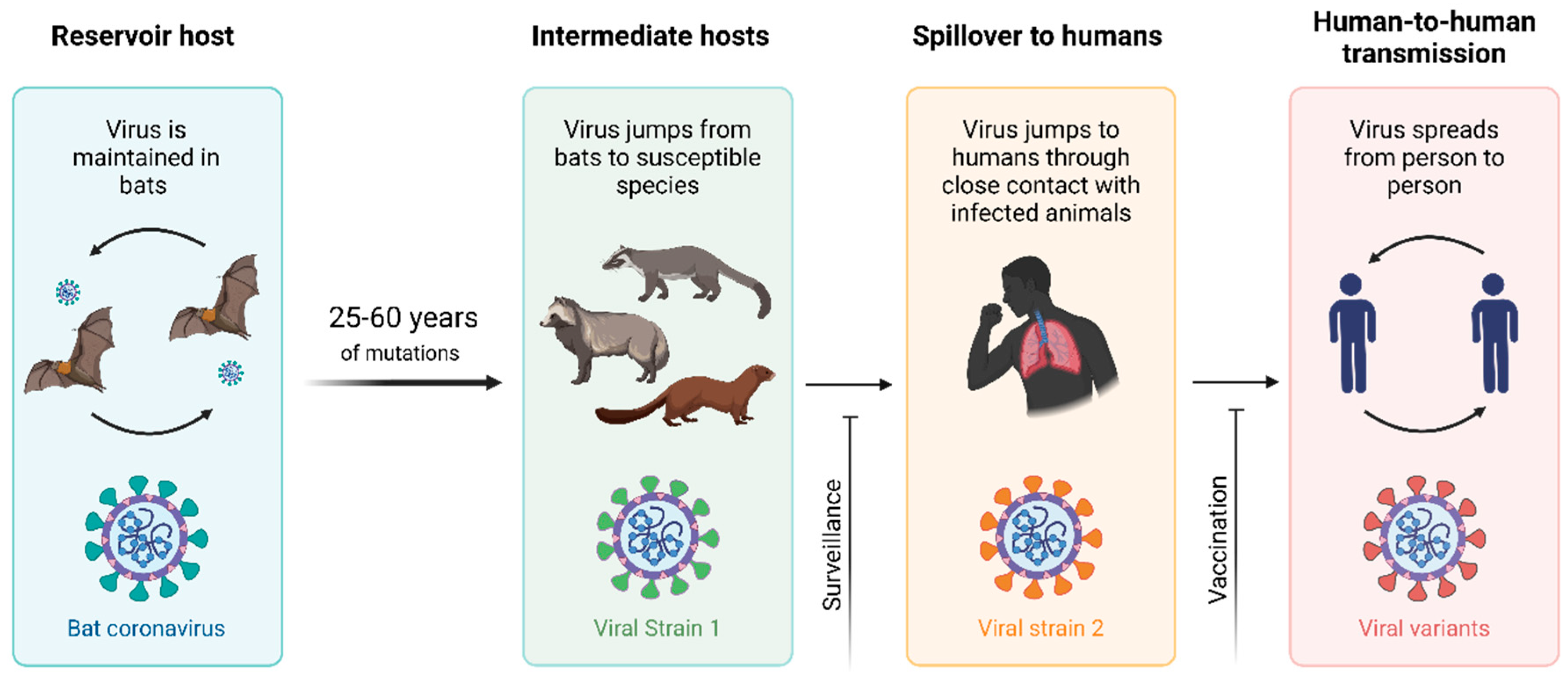 Navigating Zoonotic Landscapes: From Genomic Insights to Ethical Frontiers